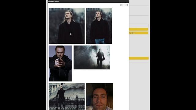 Быстрая загрузка визиток и проб (Обновление 29.12.24)
