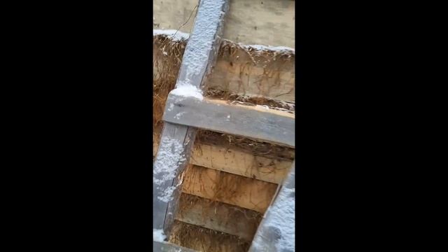 Дом моей мечты, растёт как на дрожжах, сами в шоке.