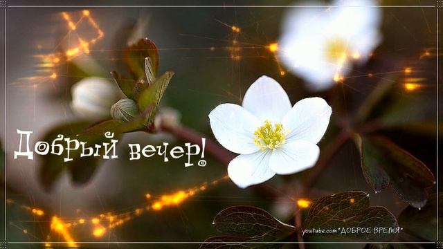 КРАСИВЫЕ ПЕСНИ ОБО ВСЁМ...ДОБРЫЙ ВЕЧЕР!