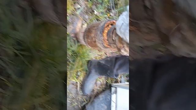 Кабанчик оказался почти пустой не оправдал наши с вами ожидания, меди в нем не так уж и много