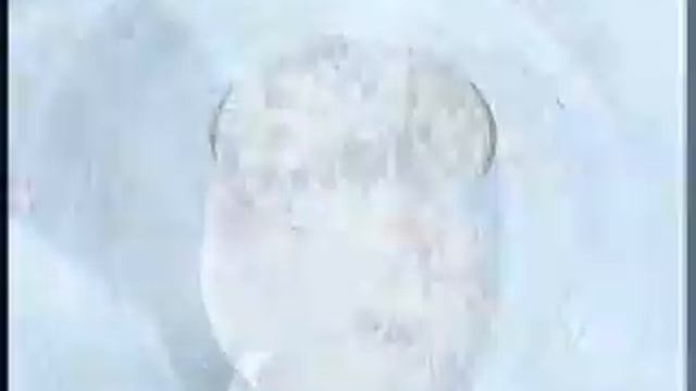 Компания "Пикра". История красноярской рекламы.