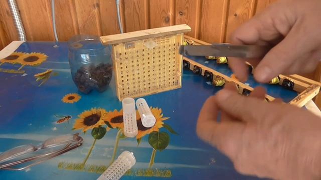 Система вывода маток плюсы и минусы