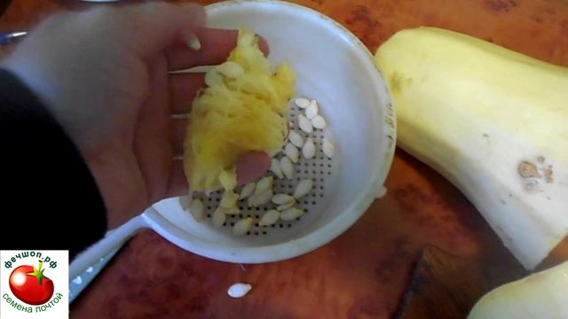 Заготавливаем семена кабачков. Очень просто!