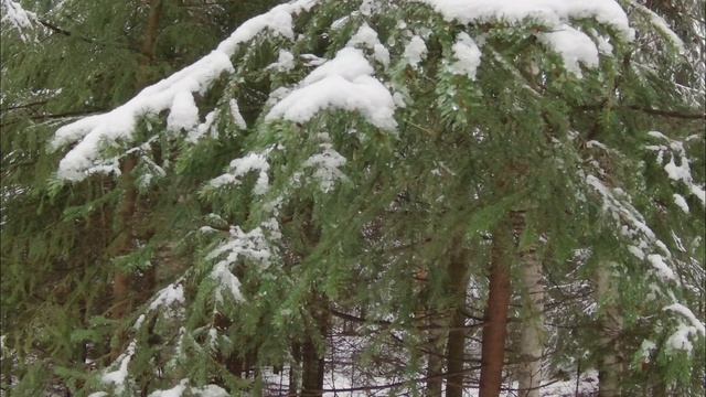 Снег в ноябре (клип)