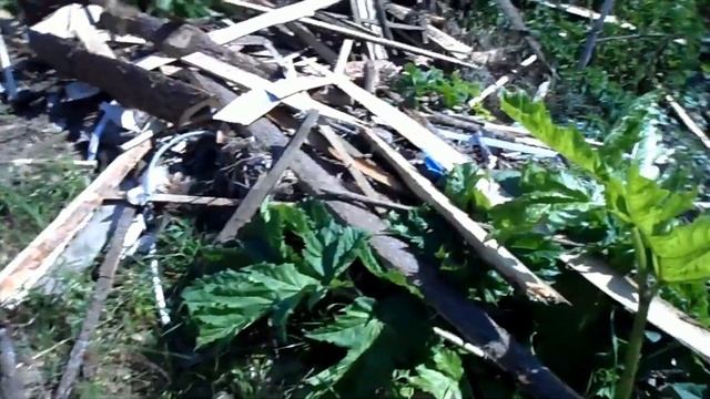 Горы горбыля бери не хочу. Забивка колышек.