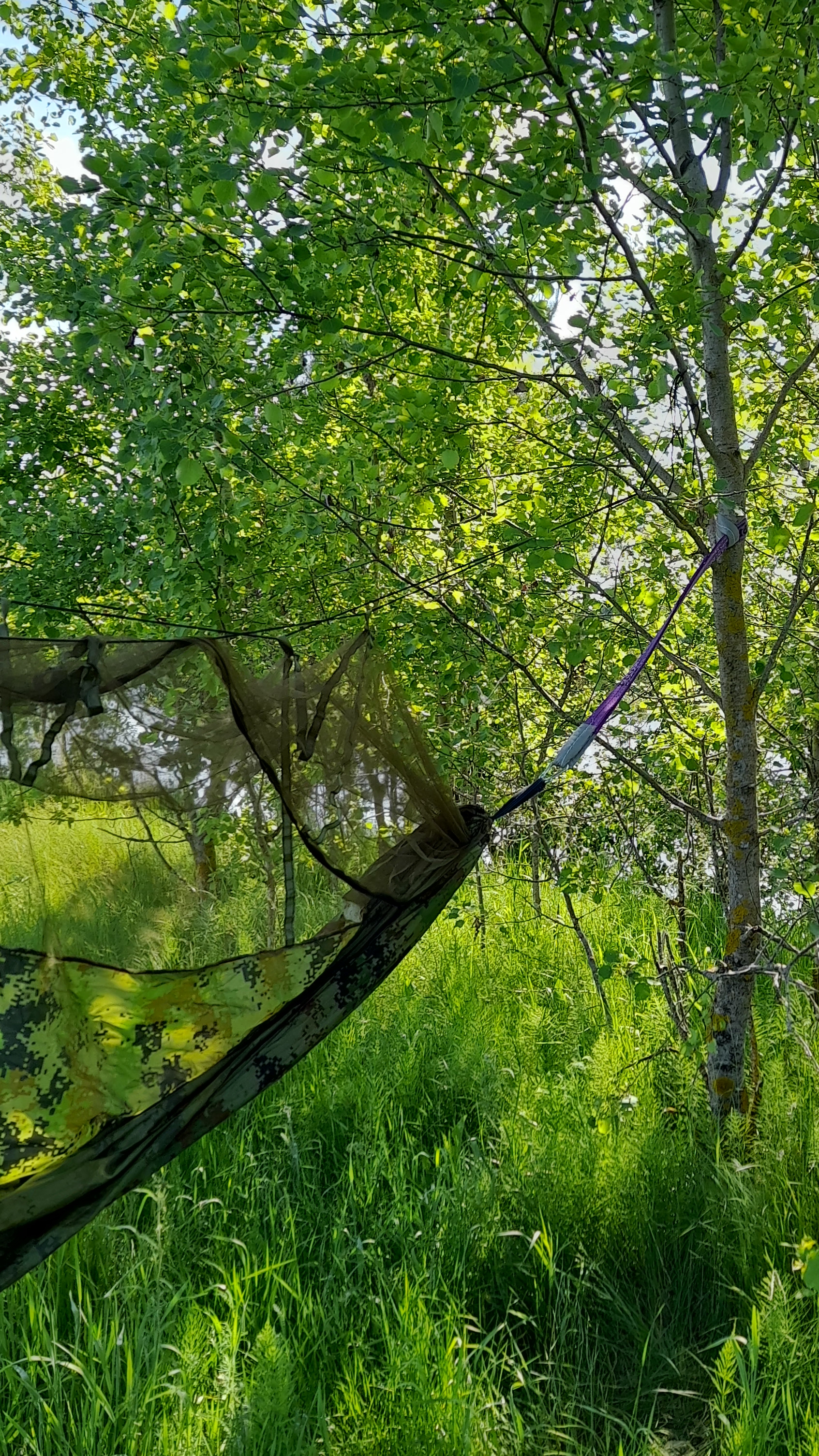 Момент прекрасного настроения.mp4