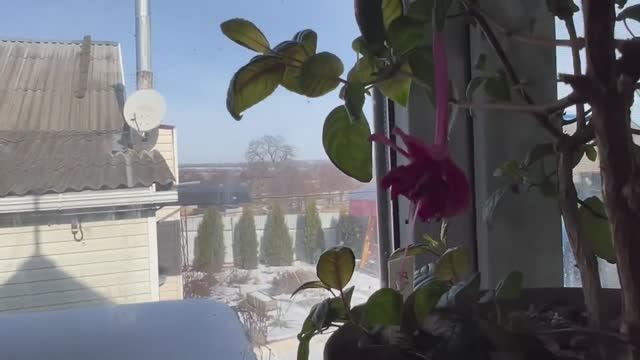 Обзор теплиц на 1 марта 2024г