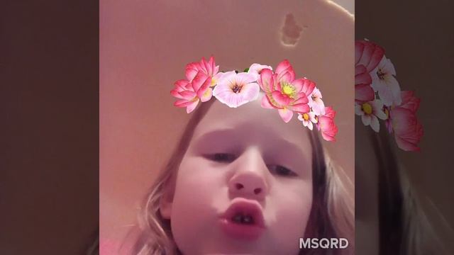 24 января 2017 г.