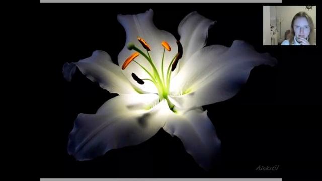 Инь-магия.  Открытый практический вебинар