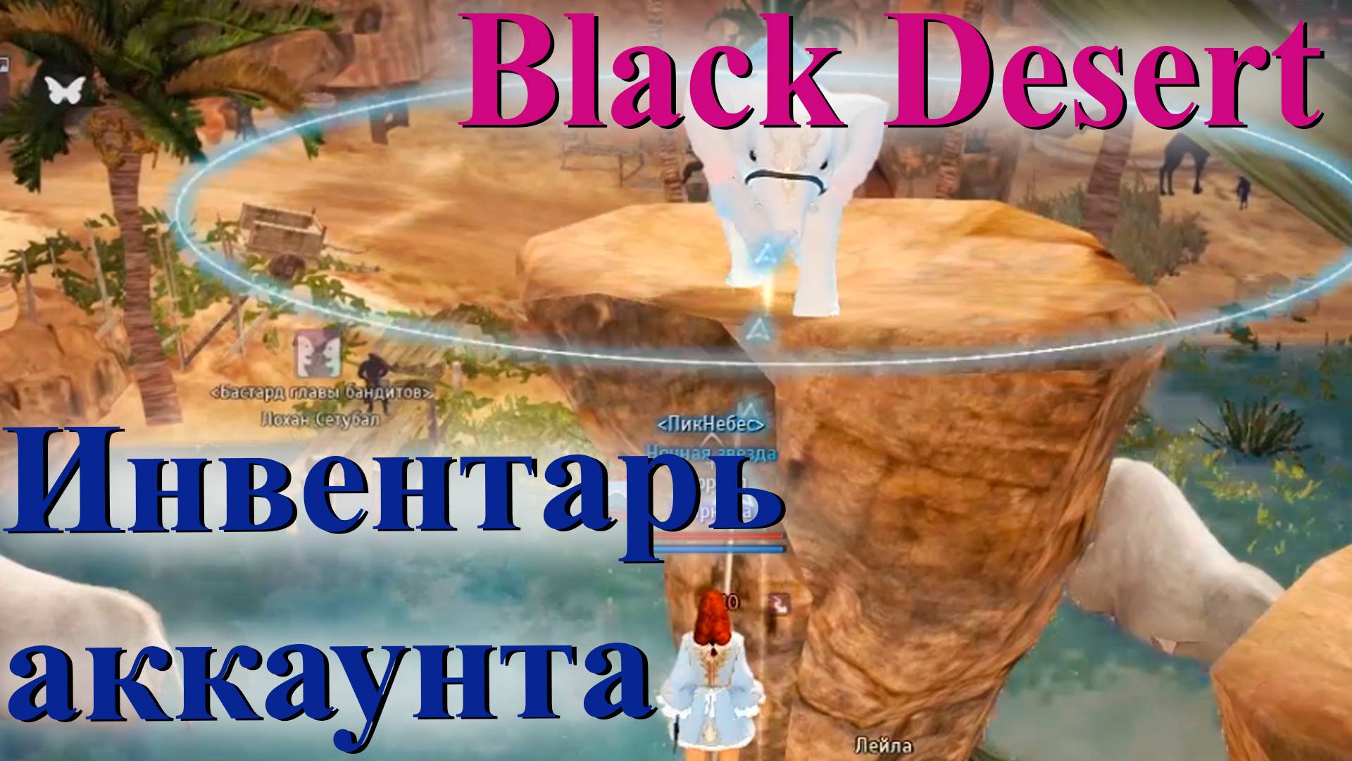 Black Desert - инвентарь аккаунта