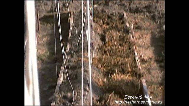 Подготовка грядки и посадка огурцов.