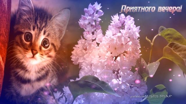 КРАСИВЫЕ ПЕСНИ ОБО ВСЁМ,,,ДОБРЫЙ ВЕЧЕР!