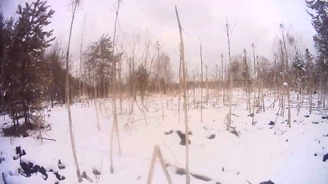 Неожиданно опять зима, коп и результат.