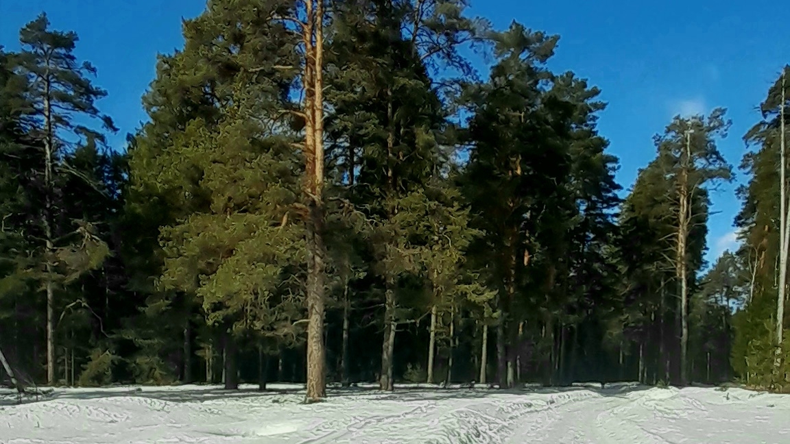 Ранняя зима.