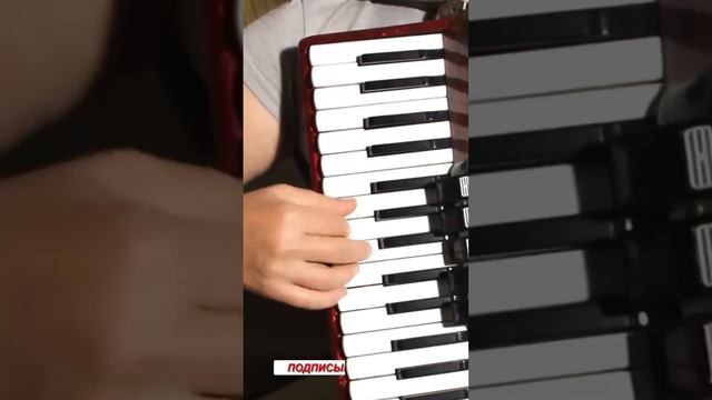 ПОД НЕБОМ ПАРИЖА  Популярная музыка для баяна и аккордеона / Пошаговое обучение 3