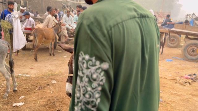 12682588_3840_2160_30fps