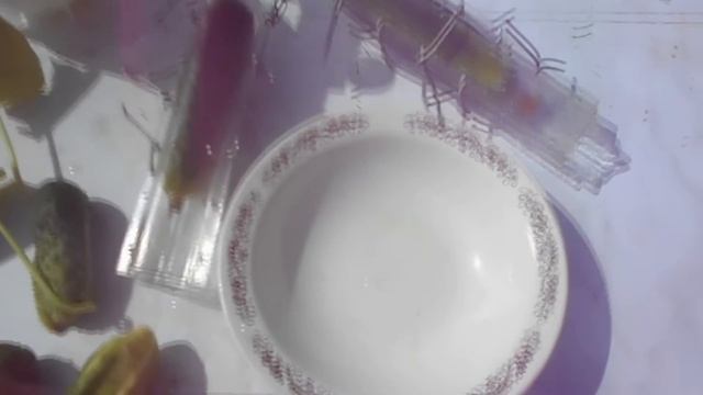 Фигурный огурец