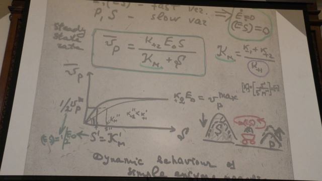 Рубин А. Б. - Биофизика. Часть 1 - 4. Кинетика ферментативных реакций
