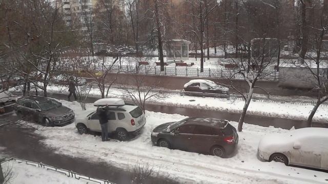 Про бокс турино 0