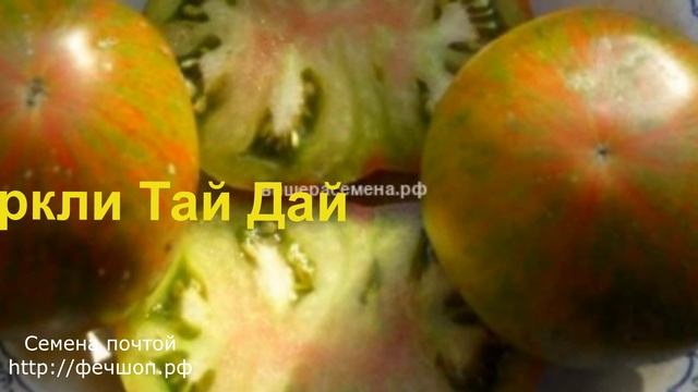 Урожайные сорта томатов 2019✓✓✓