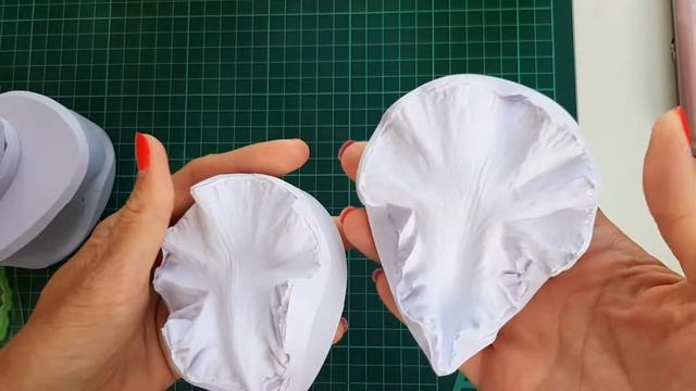 Распаковка от Лизы Шевченко