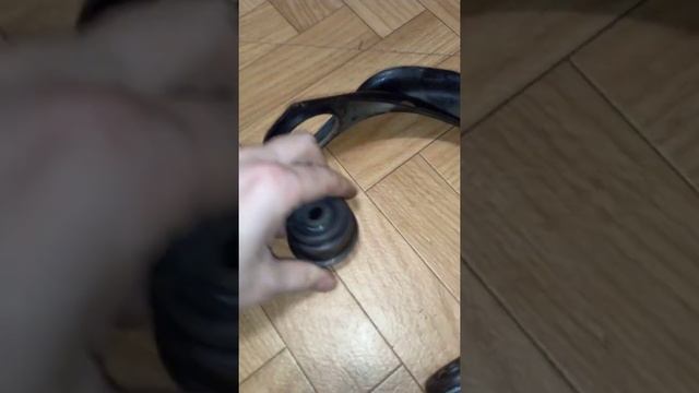 Рычаг лев пер Видео