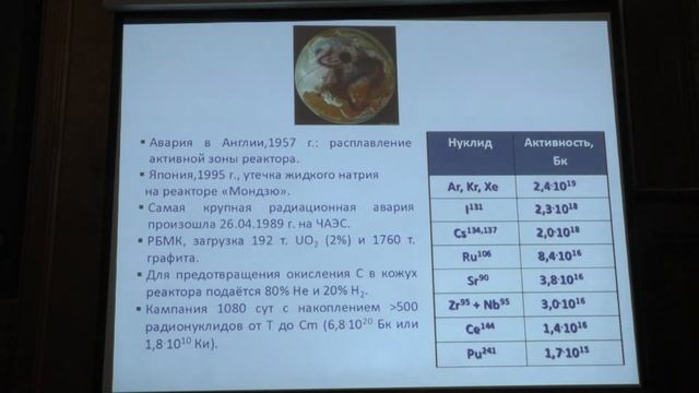 Мамонтов В. А. - Техногенные системы и экологический риск - 9. Развитие ядерных технологий