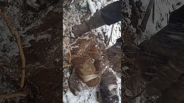 Суперская находка. Медные волосы