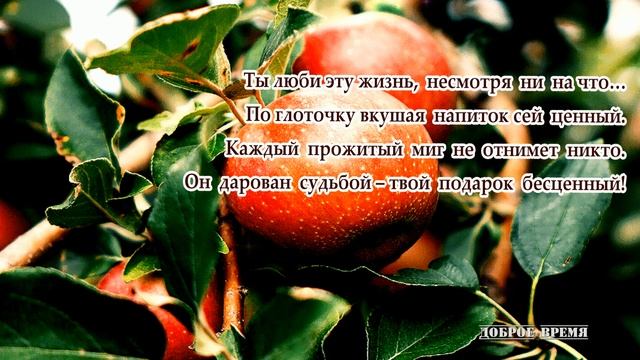 ДОБРОЕ УТРО!! _ КРАСИВЫЕ ПЕСНИ ОБО ВСЁМ...