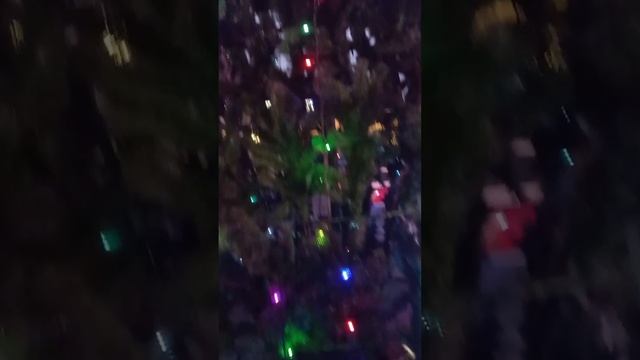 Ёлку поставили уже.mp4