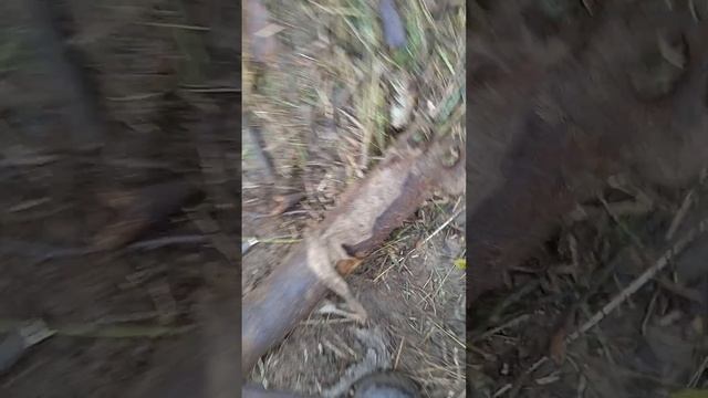Непонятная железка