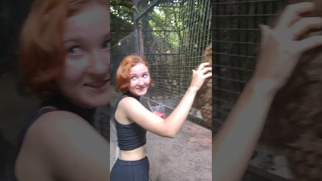 Деревня слонов в Паттайе (Pattaya Elephant Village)