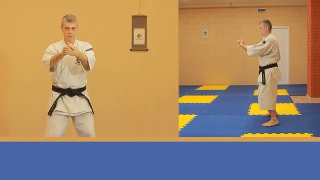 КРУГИ ЯН - ПРОДОЛЬНАЯ, ФРОНТАЛЬНАЯ ПЛОСКОСТЬ (НАЧАЛЬНЫЙ УРОВЕНЬ)