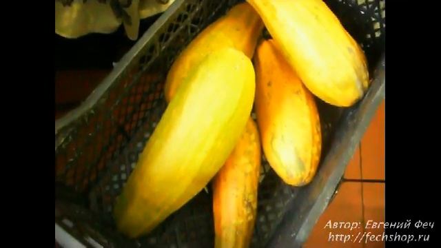 Не взошли семена - волнующий многих дачников, вопрос!