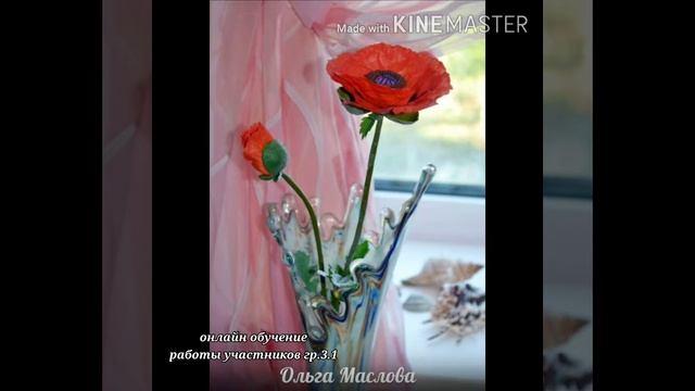 Онлайн обучение "Мак Восточный сорт Голиат"