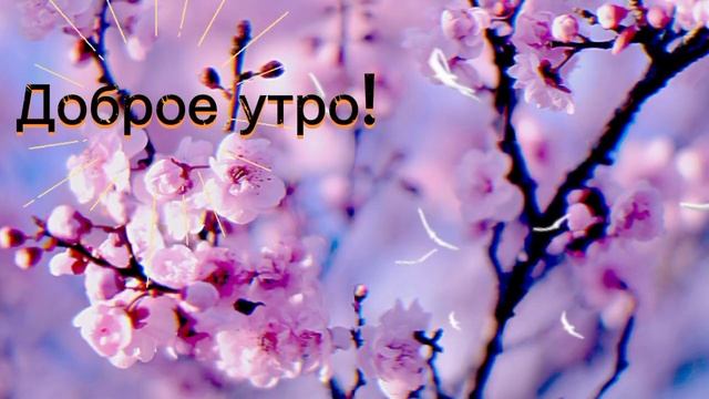 КРАСИВЫЕ ПЕСНИ ОБО ВСЁМ...ДОБРОЕ УТРО!