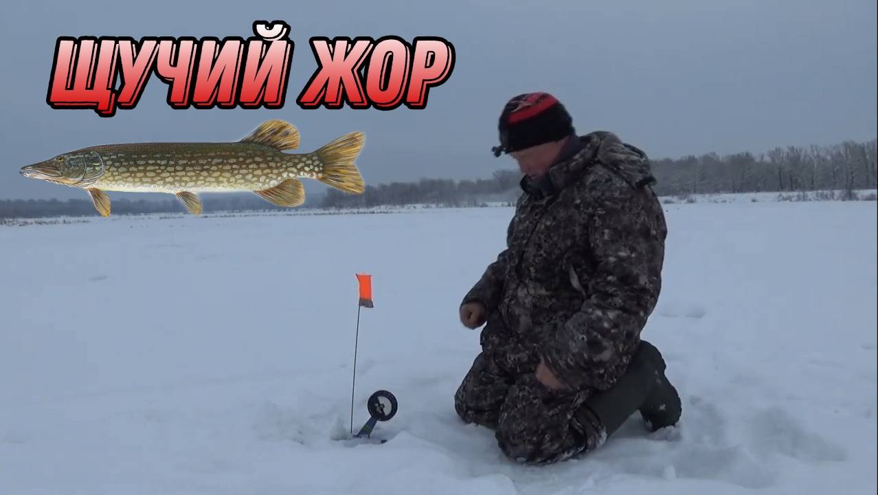 ЖОР ЩУКИ! Я УСТАЛ БЕГАТЬ ОТ ТАКОГО КЛЕВА НА ЖЕРЛИЦЫ! ПЕРВЫЙ ЛЕД! ЛОВЛЯ ЩУКИ НА ЖИВЦА!