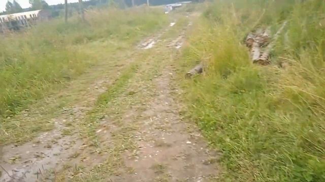 А у нас сегодня БОЛТАЛКА