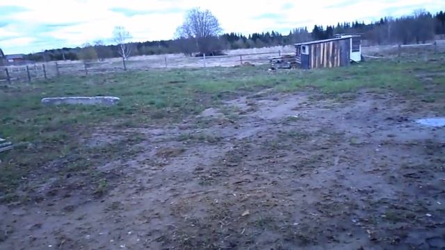 Моё хозяйство
