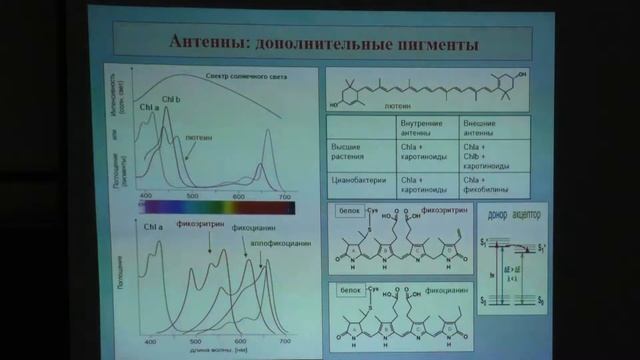 Носов А. М. - Физиология растений I - 5. Фотосинтез