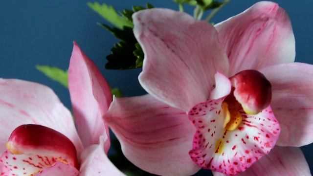 Живые цветы из холодного фарфора / Мурзилкина Ольга