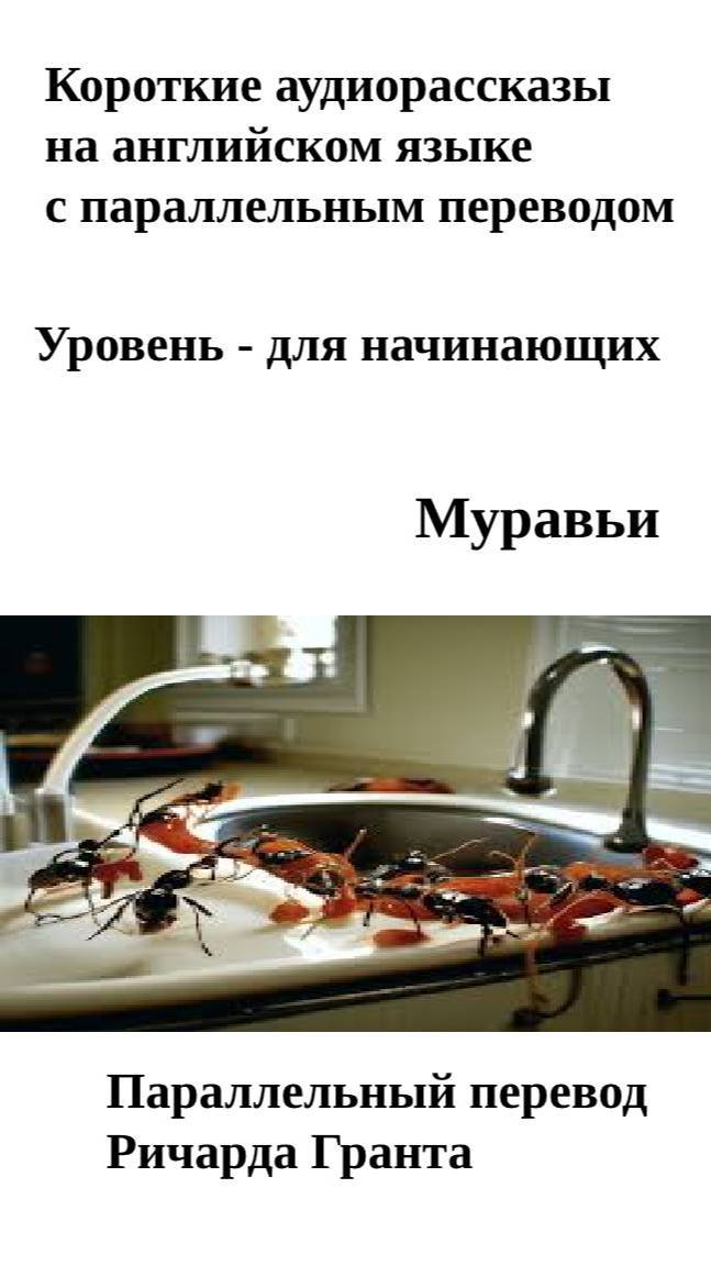 Муравьи