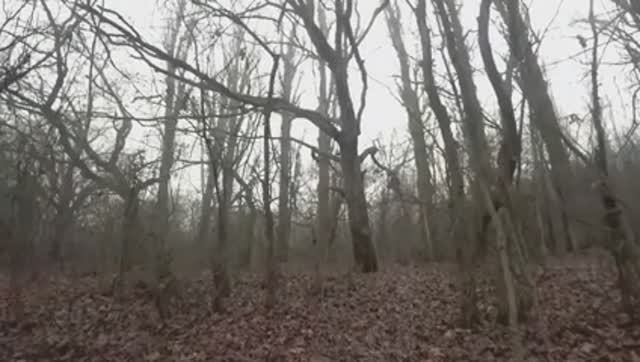 В гости к князю Тундутову