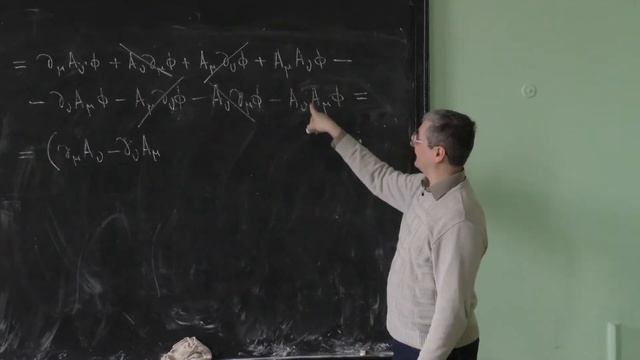 Степаньянц К. В. - Классическая теория поля - 9. Неабелевы калибровочные теории. Часть 2