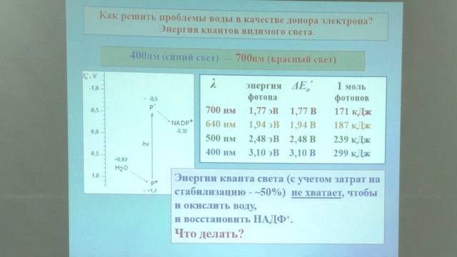 Носов А. М. - Физиология растений I - 4. Фотосинтез