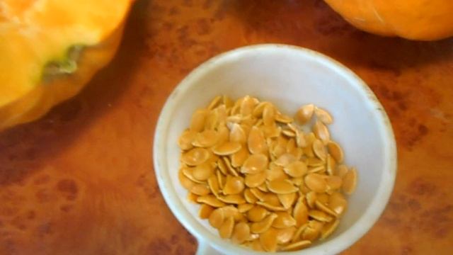 Семена из тыквы Атлантический гигант