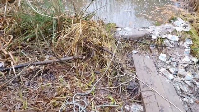 Шахта с советскими деньгами. Наследие прошлого