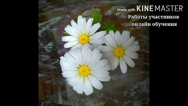 Онлайн обучение "Ромашка Белая"