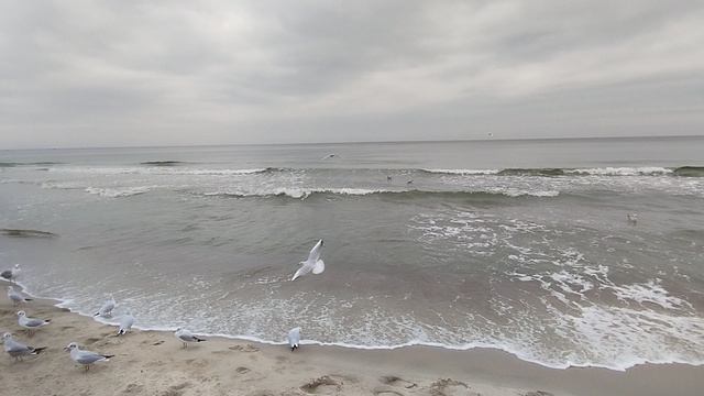 Светлогорск (Rauschen). На берегу Балтийского моря. 2024.