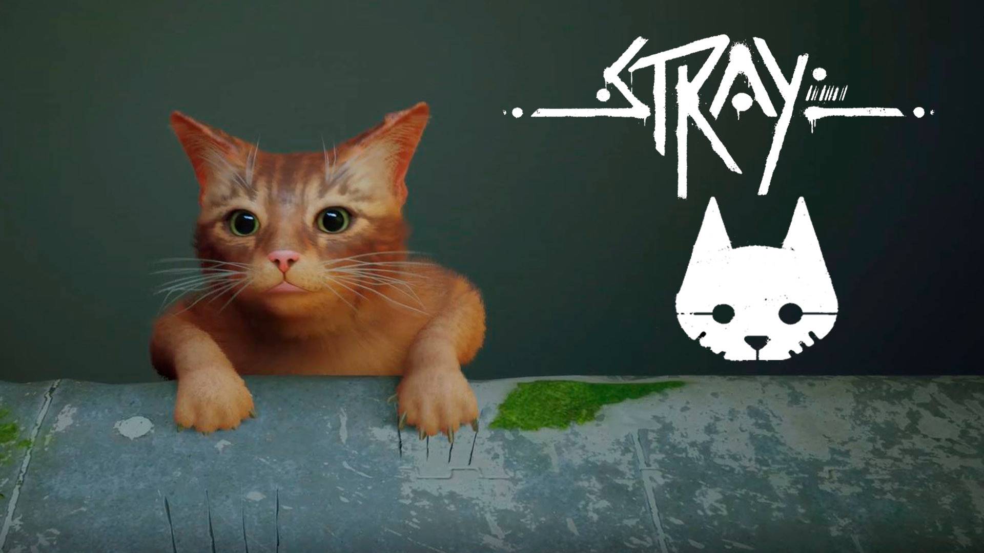 Stray - часть 1. Прохождение игры